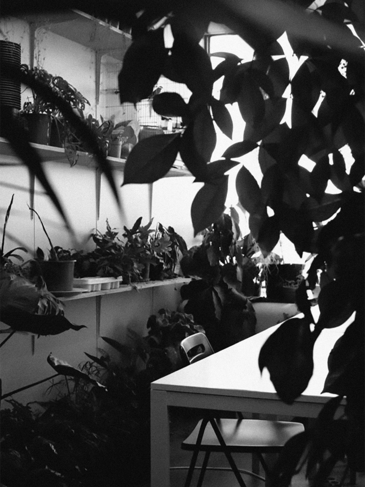 51N4E: The architecture practice using Brussels as a testing ground for ...